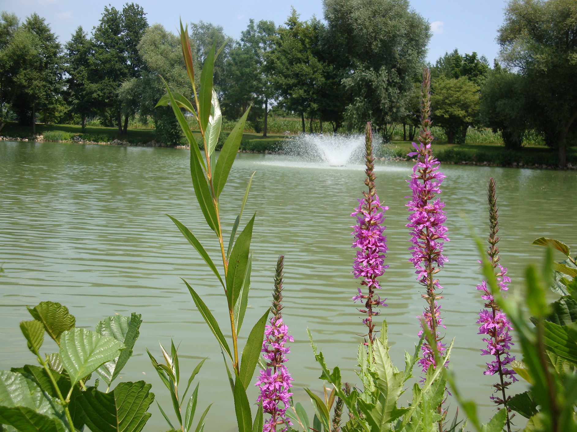 Apparthotel Minerva-Diana-Octavia | Galerie